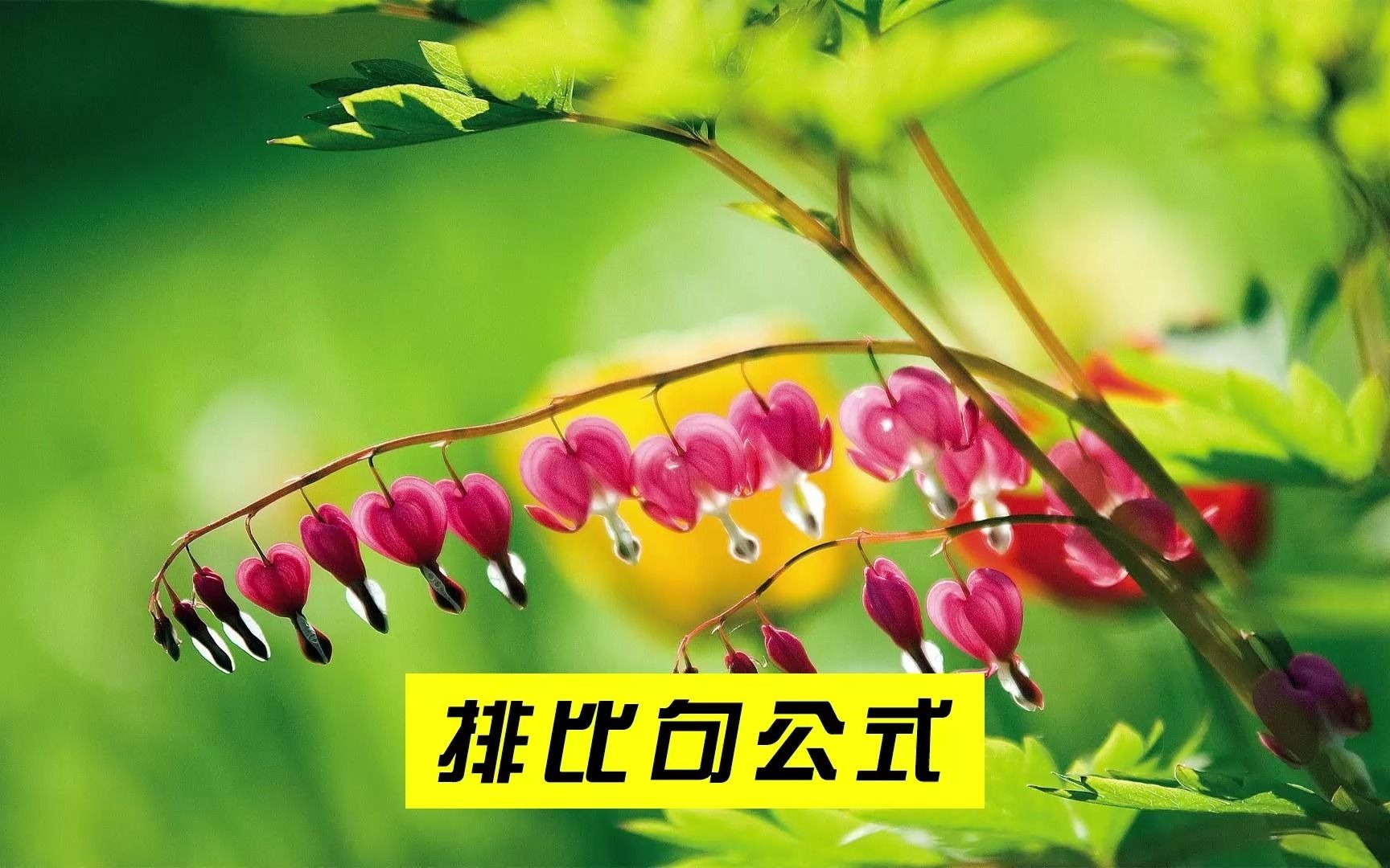 干货:一个公式学写排比句,孩子轻松仿写