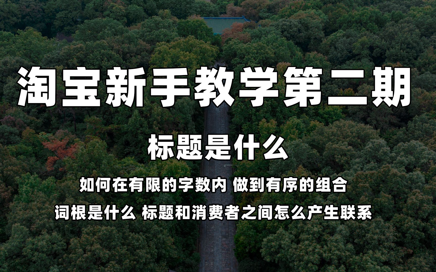 【淘宝新手教学第2期】标题是什么?词根、关键字的组合,与消费者...