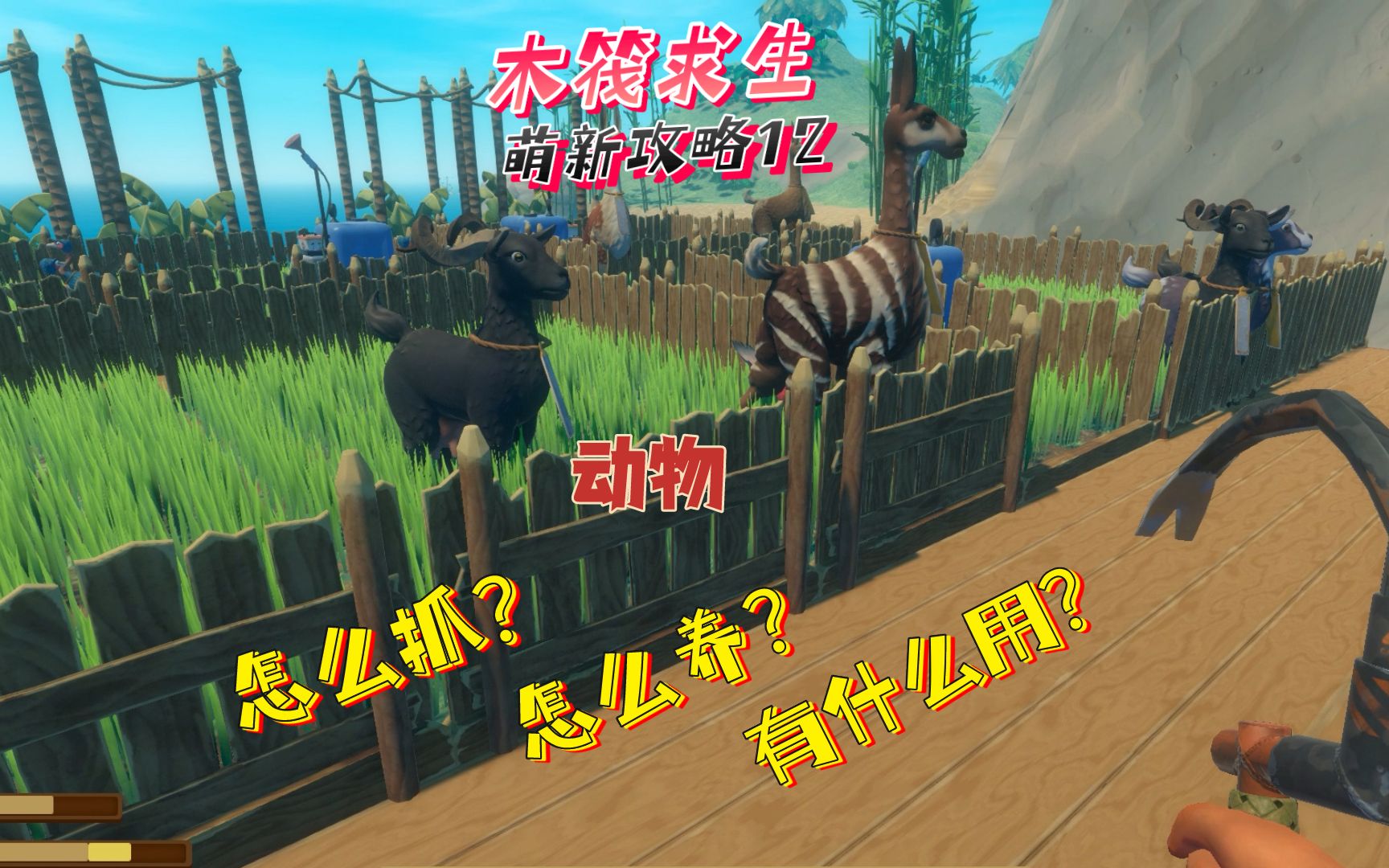 Raft木筏求生新手攻略12:动物怎么抓?怎么养?有什么用?_单机游戏...