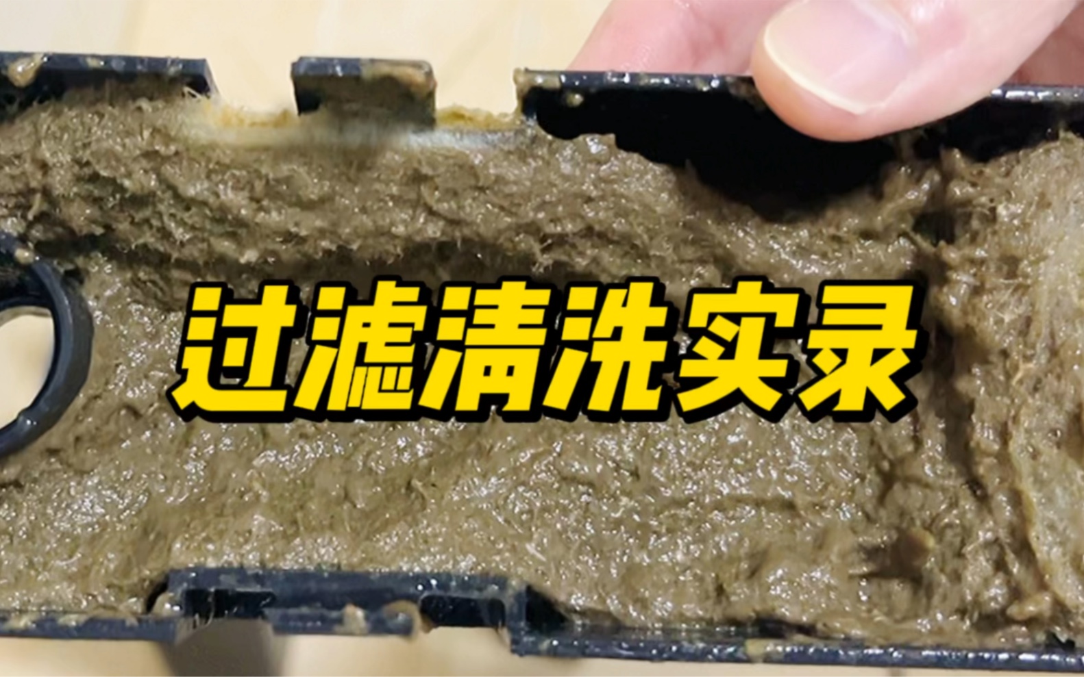 超解压的鱼缸龟缸过滤器清洗实录,不洗不知道,一洗吓一跳