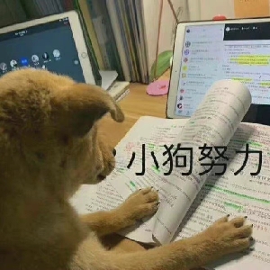 宇宙无敌亮噢真的好亮 