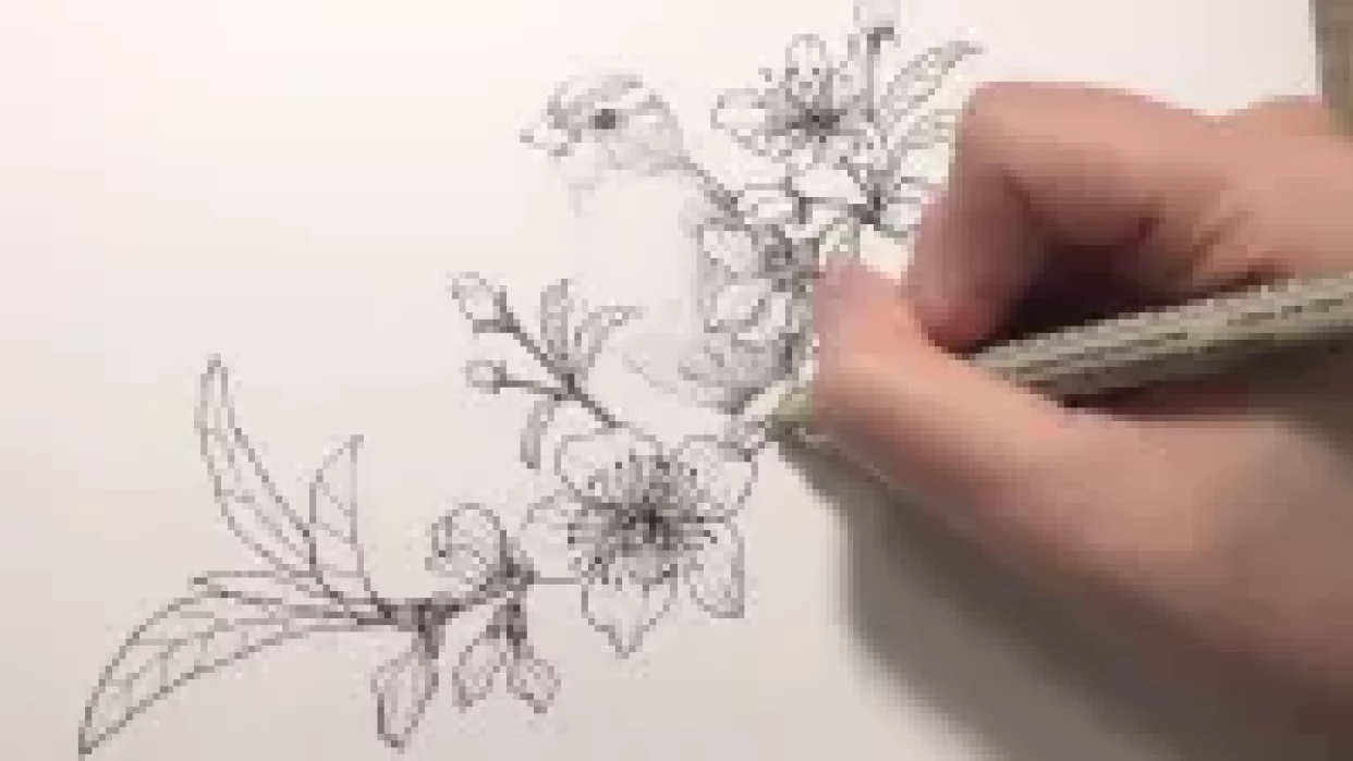 简笔画教程:春天的气息,花鸟手绘线描篇
