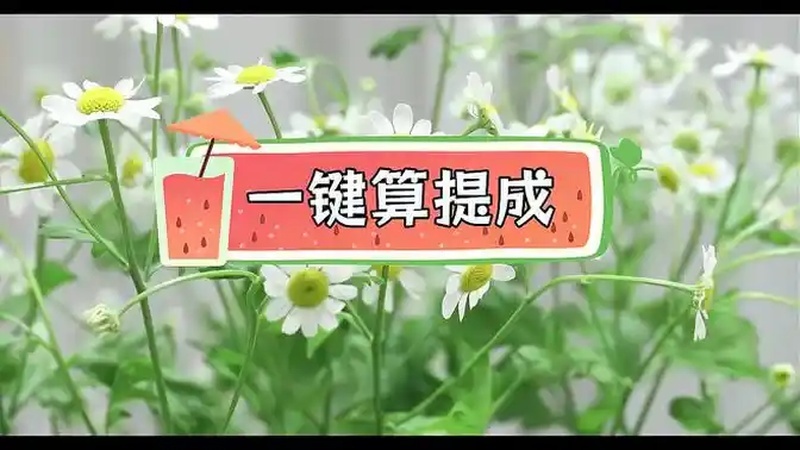 销售提成计算神器,轻松管理工资方案