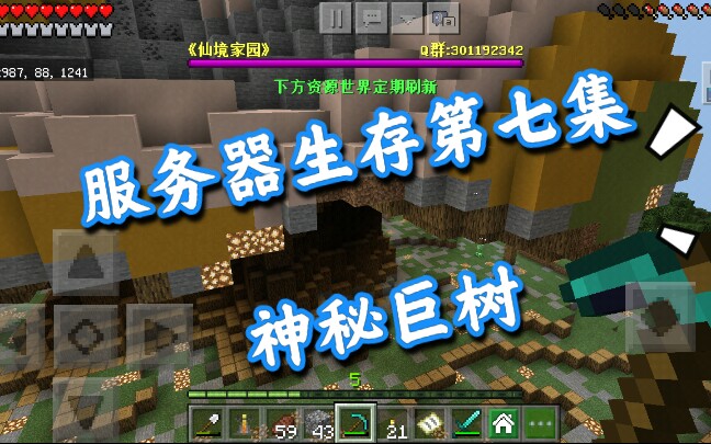 佳轩解说我的世界服务器生存 第七集 神秘巨树