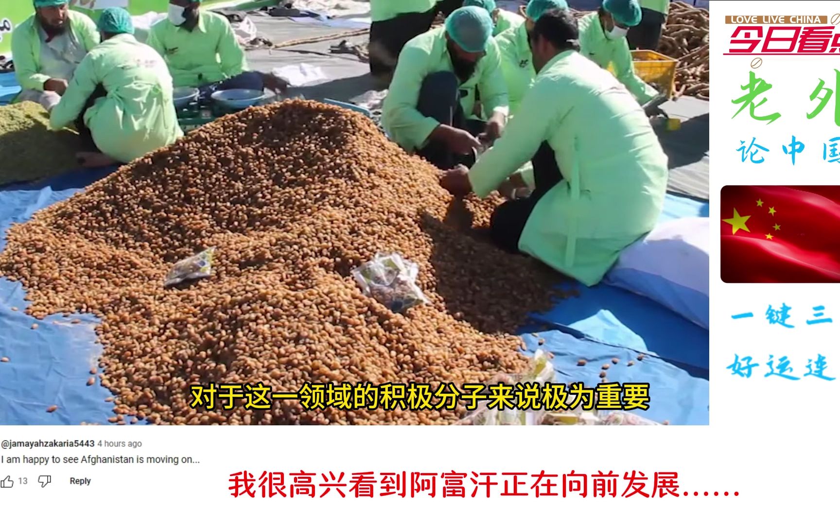 阿富汗干果在国际市场上的崛起和出口,【精选外国网友评论】