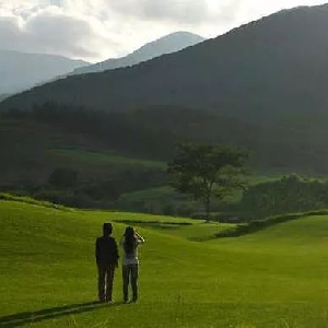 爱园野造景 