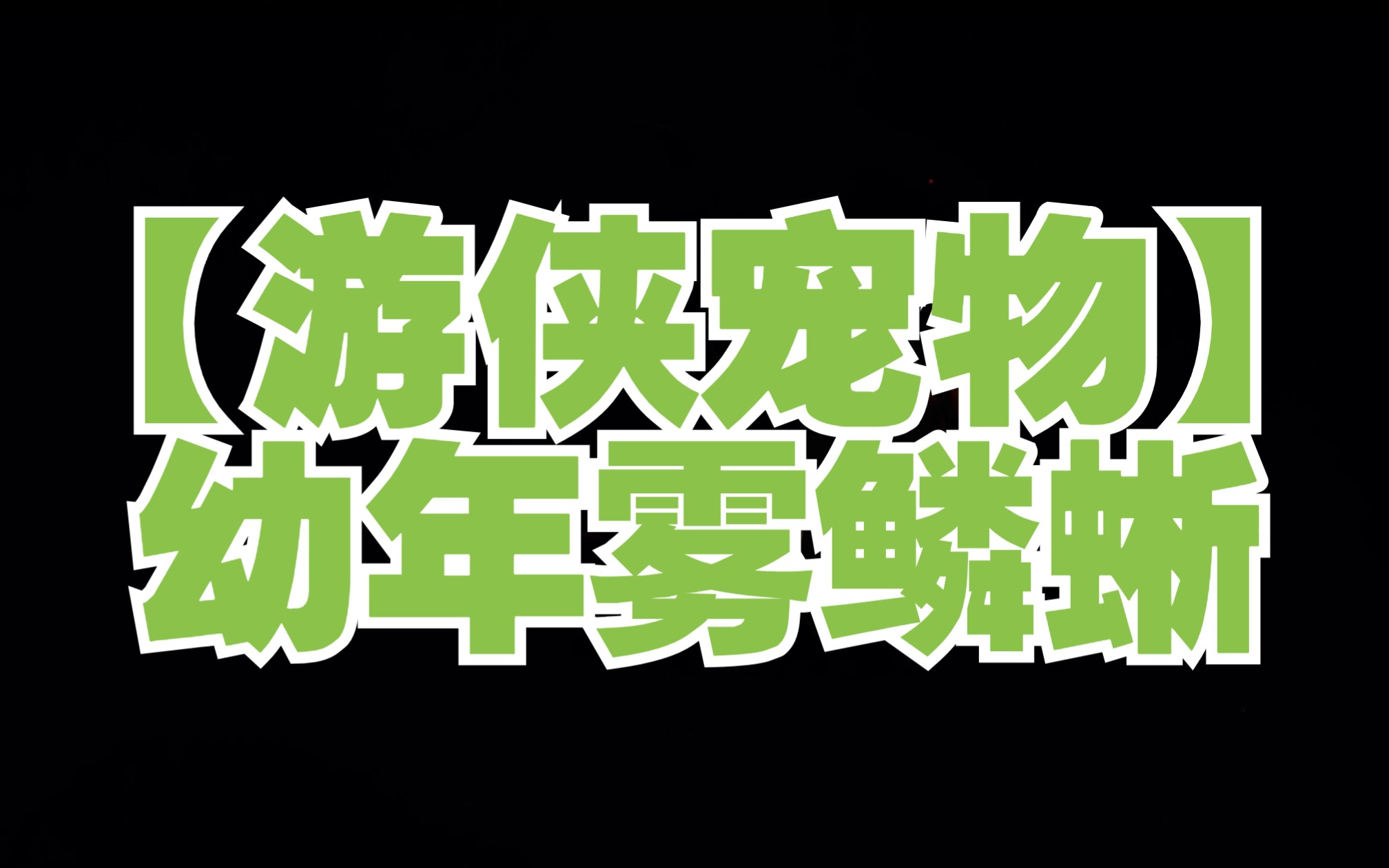 激战2金昆【游侠宠物】幼年雾鳞蜥_激战2