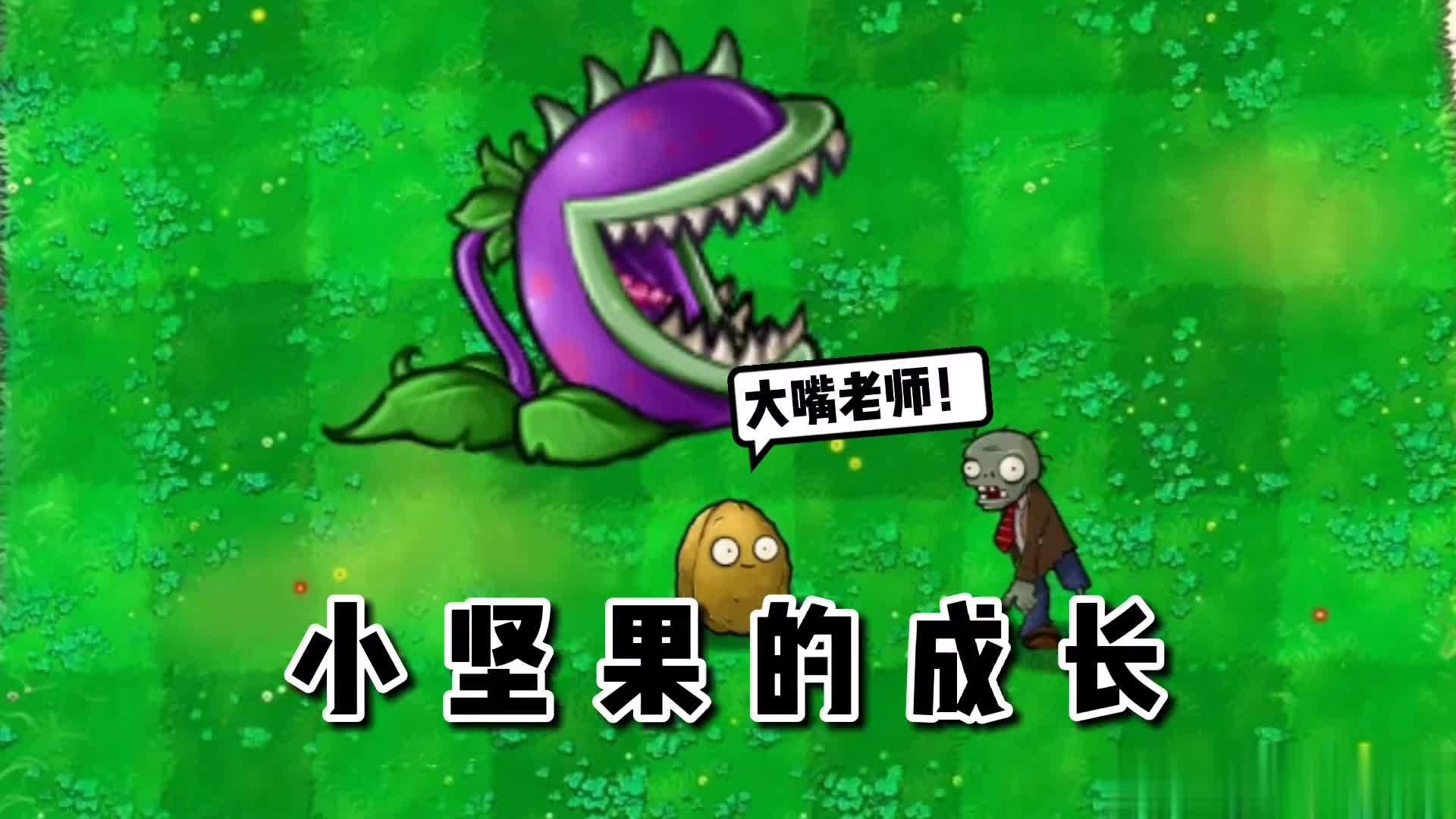 植物大战僵尸:小坚果的成长