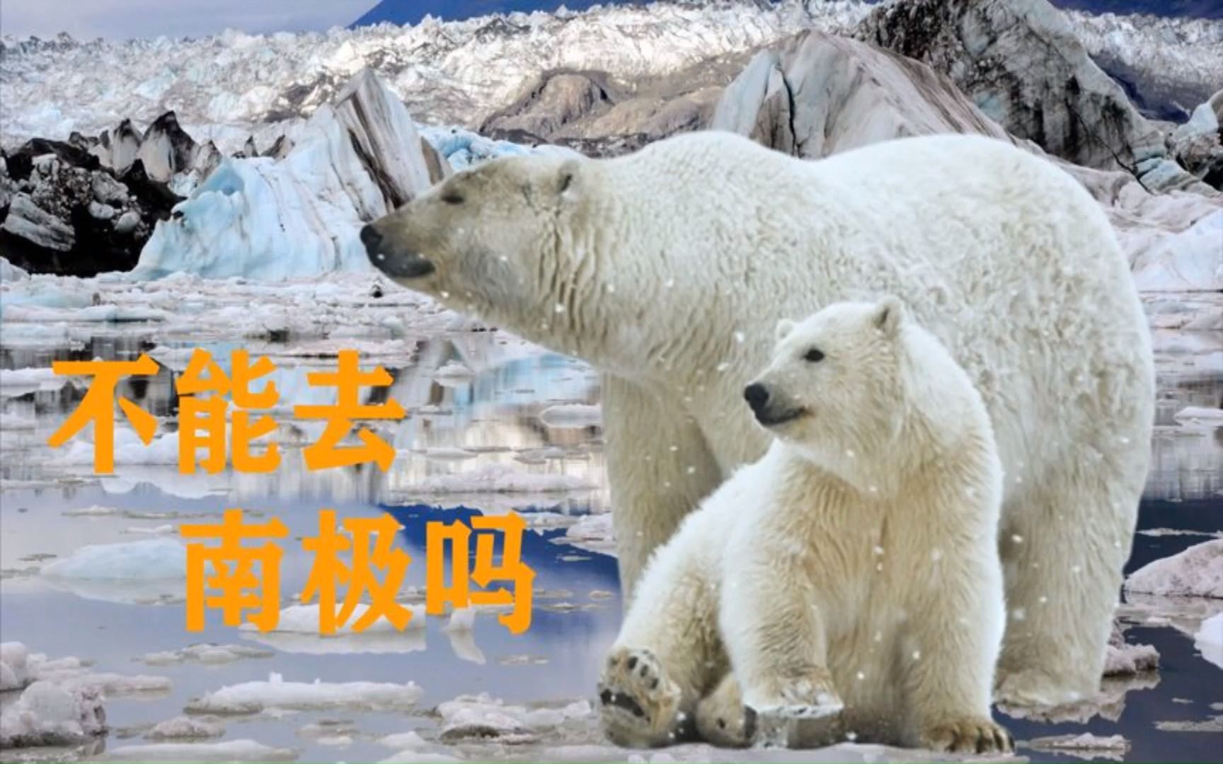 冰川融化,北极熊生存困难,为什么不能把北极熊送到南极去?