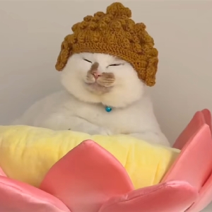 NewClive 