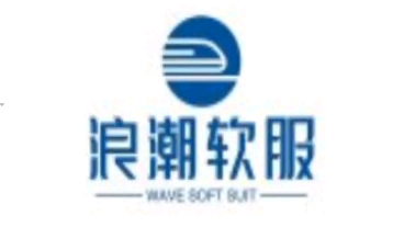 浪潮软件股份有限公司2022年财务报表分析,财务分析报告