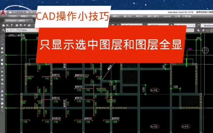 CAD操作小技巧～只显示选中图层和图层全显