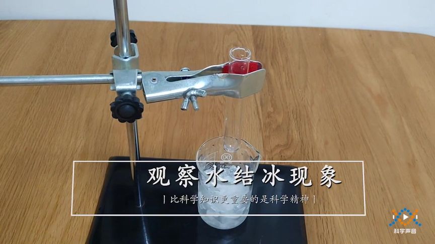 小学科学实验探究【水】4.:观察水结冰现象