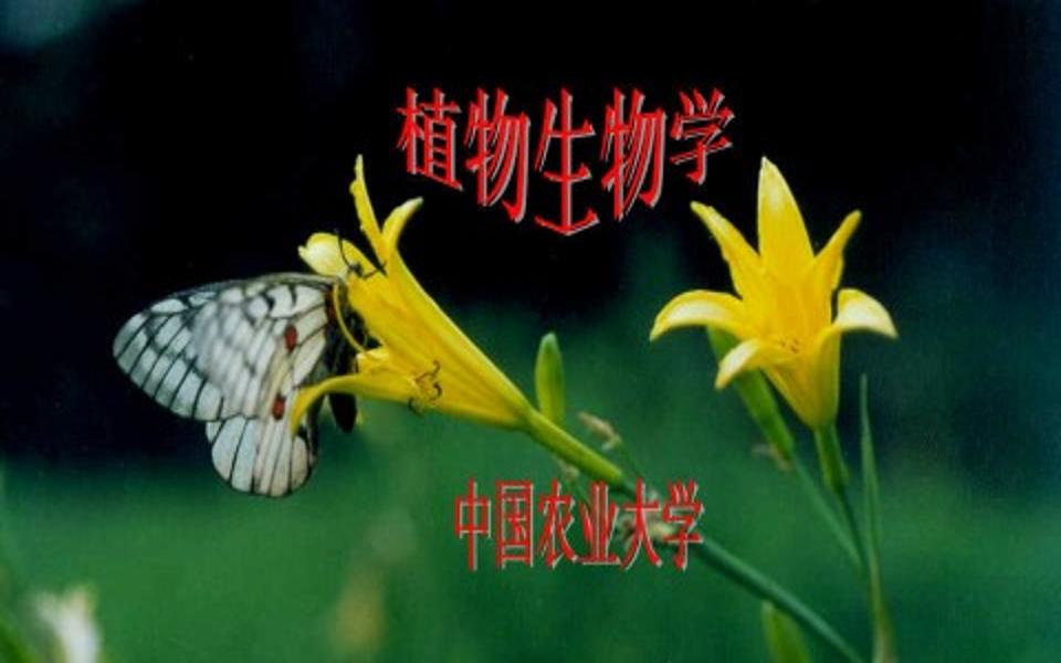 【植物生物学】-中国农业大学-邵小明-国家级精品课-持续更新中