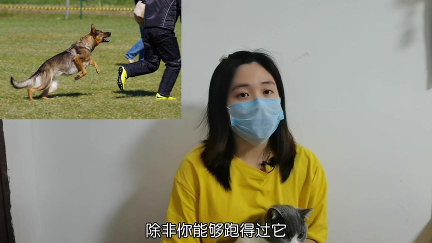 如何避免被狗咬?看完以后面对恶犬再也不用慌了