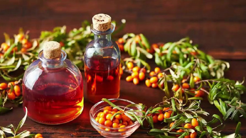 别再纠结籽油果油!一分钟搞懂沙棘油,选对功效不踩坑