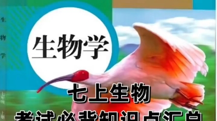 七年级上册小四门全册资料汇总,考试必备,提前备战月考。电子版可...