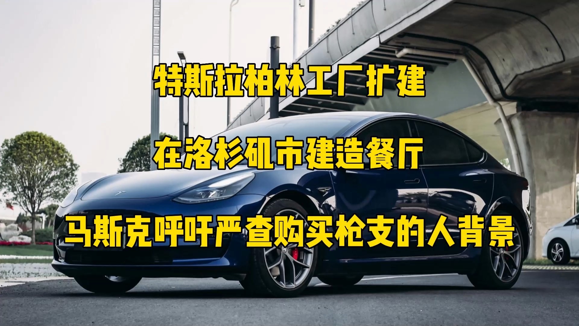 ...市场,马斯克支持拥枪但是要求严格背景审查,特斯拉还开设汽车餐厅…