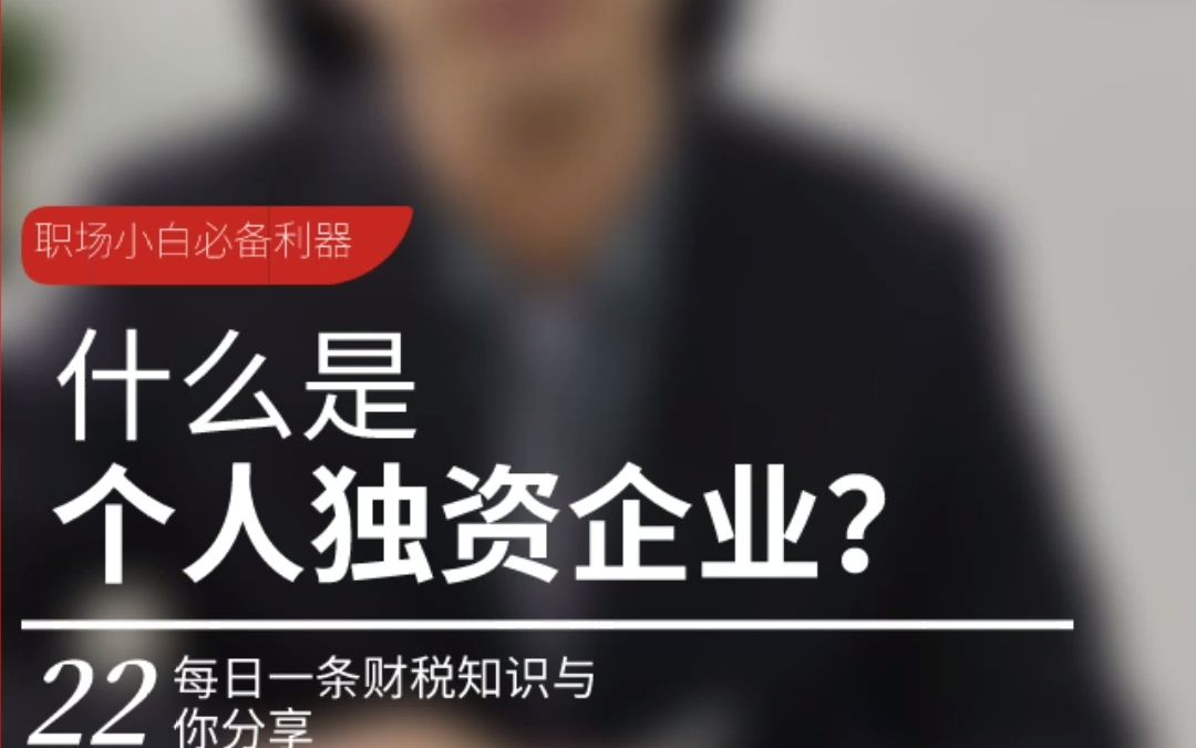 什么是个人独资企业?
