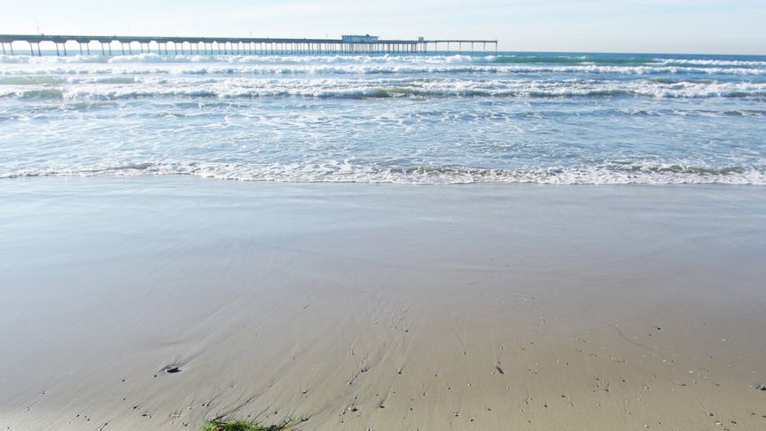 大海退潮的水去了哪?为何涨潮水又回来了,专家:一分钟了解真相