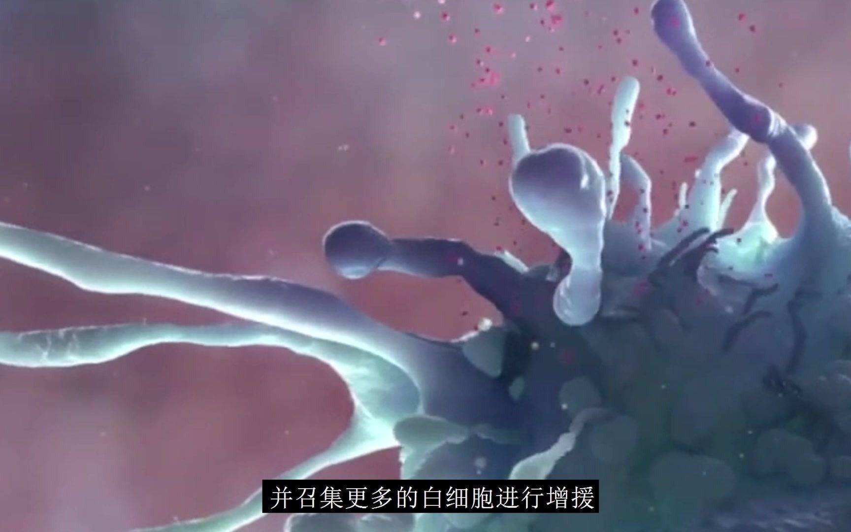 病毒与人体的史诗级会战,每一个细胞都在为你而战!