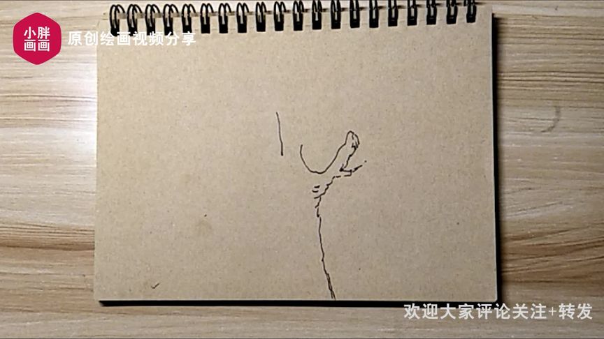 纯干货!钢笔画树的技法,零基础学习!