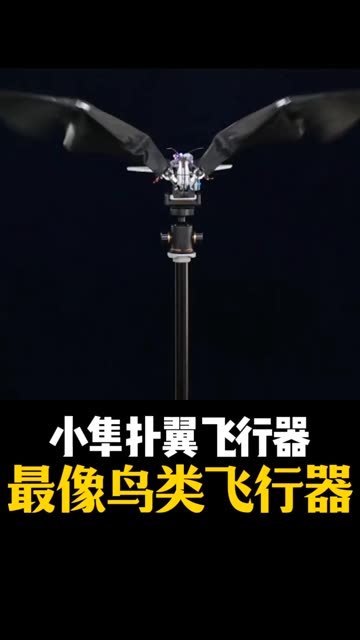 小隼扑翼飞行器原理 #机械 #原理 #科普