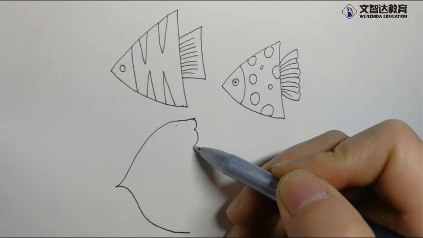 【文智达教育】动物简笔画之鱼的画法