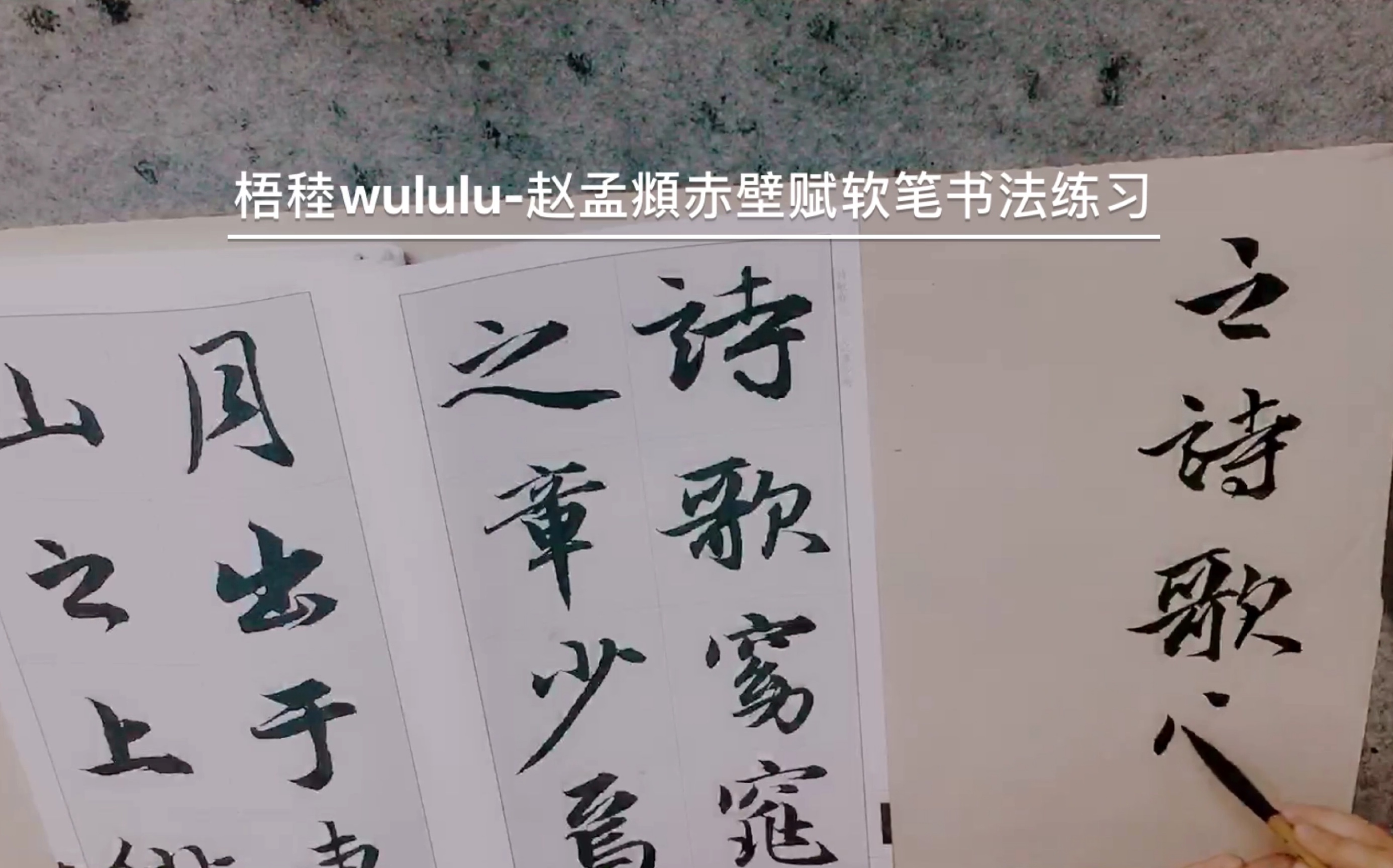 赵孟頫赤壁赋软笔书法练习