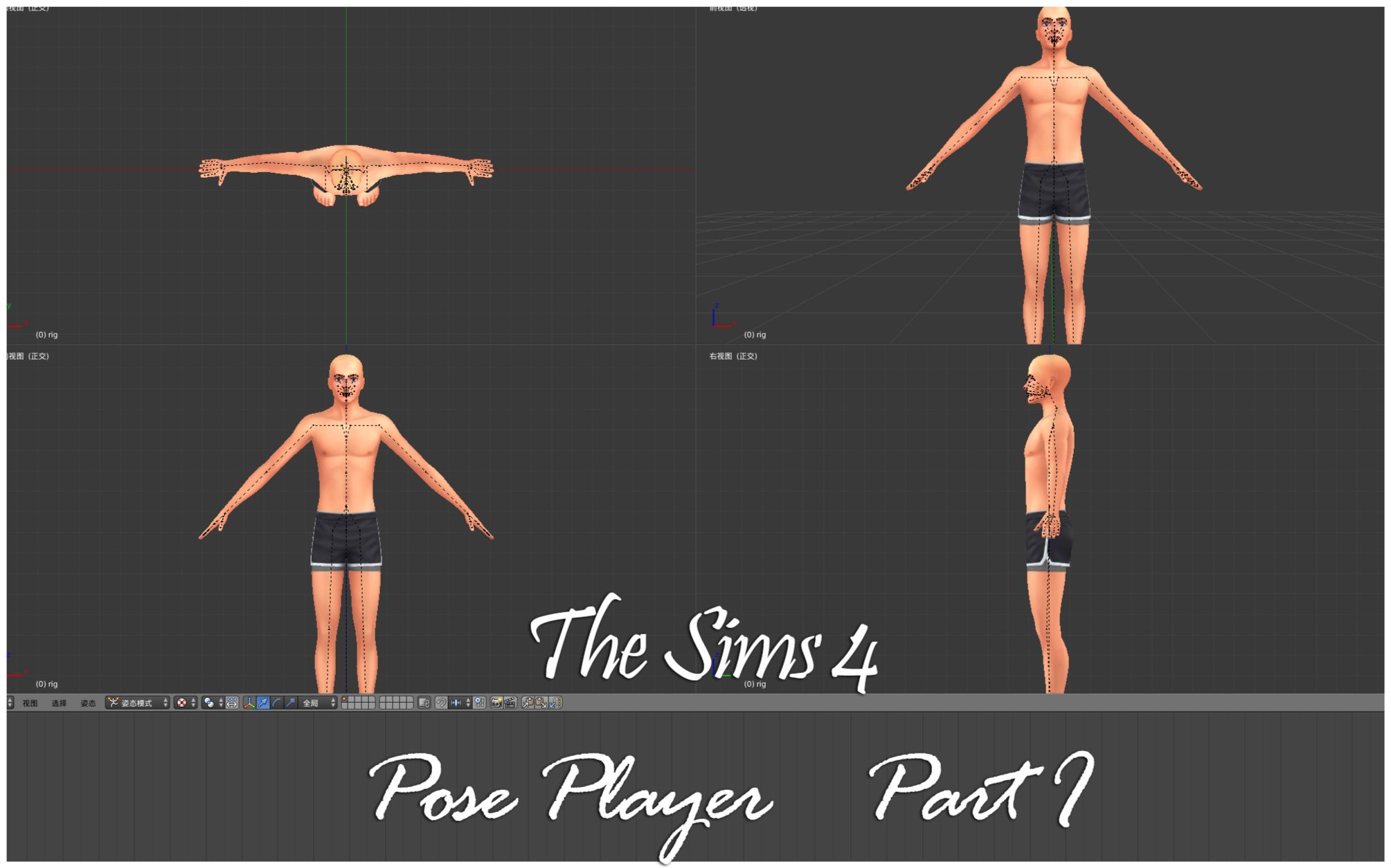 【模拟人生4】【教程】动作盒子-单人动作篇