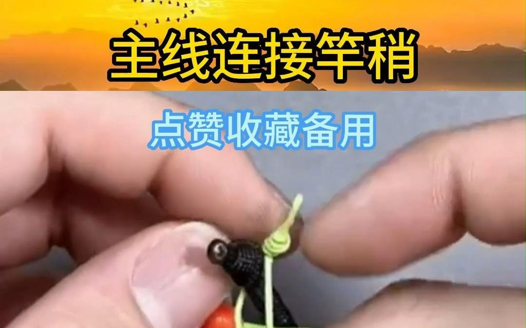 主线连接竿稍绑法!新手必学!