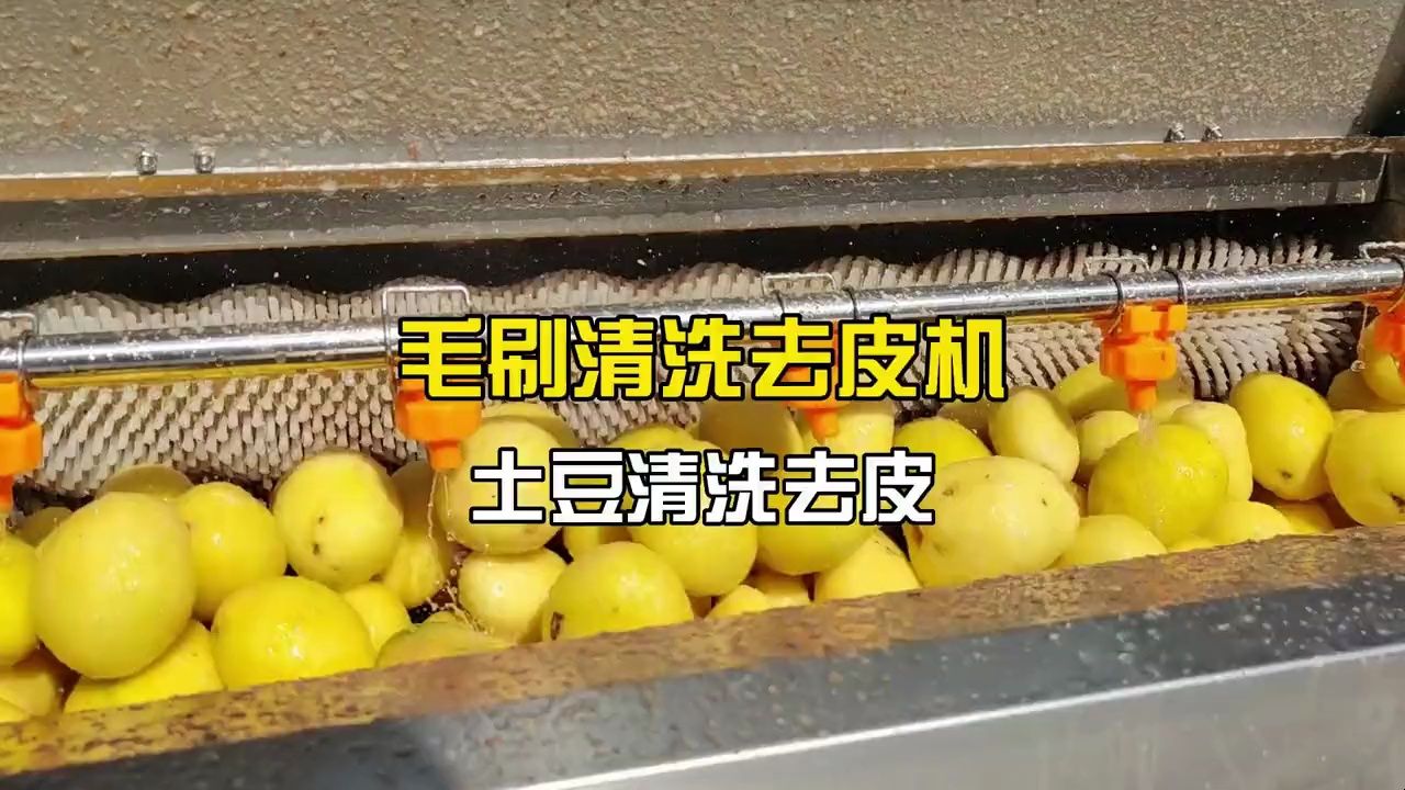 土豆毛辊清洗机,商用毛刷土豆清洗去皮一体机,土豆去皮机多少钱