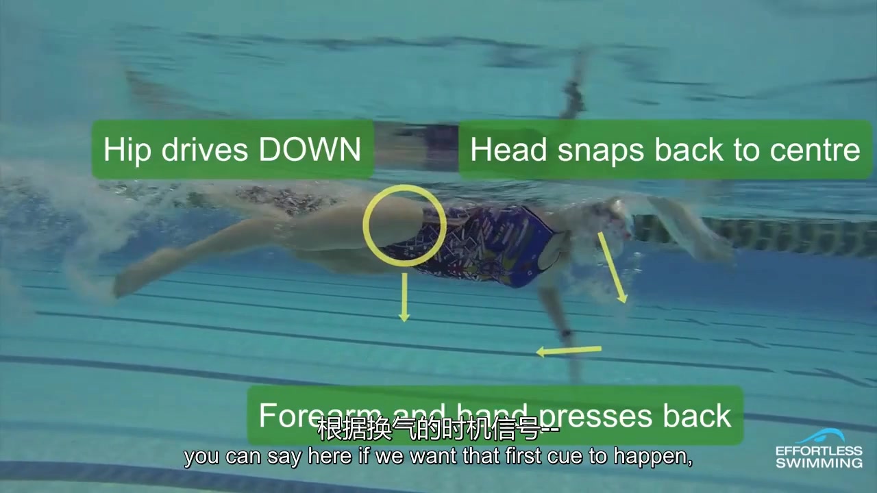 自由泳提高:自由泳怎样把握正确的换气时机?(中文字幕)