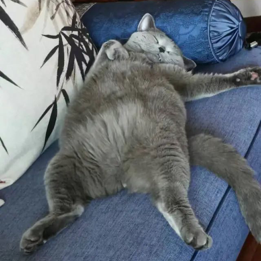 德拉曼的士 