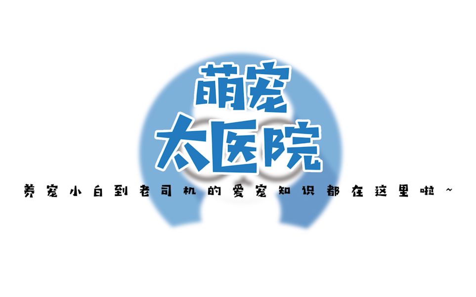 宠物发情都有哪些表现?
