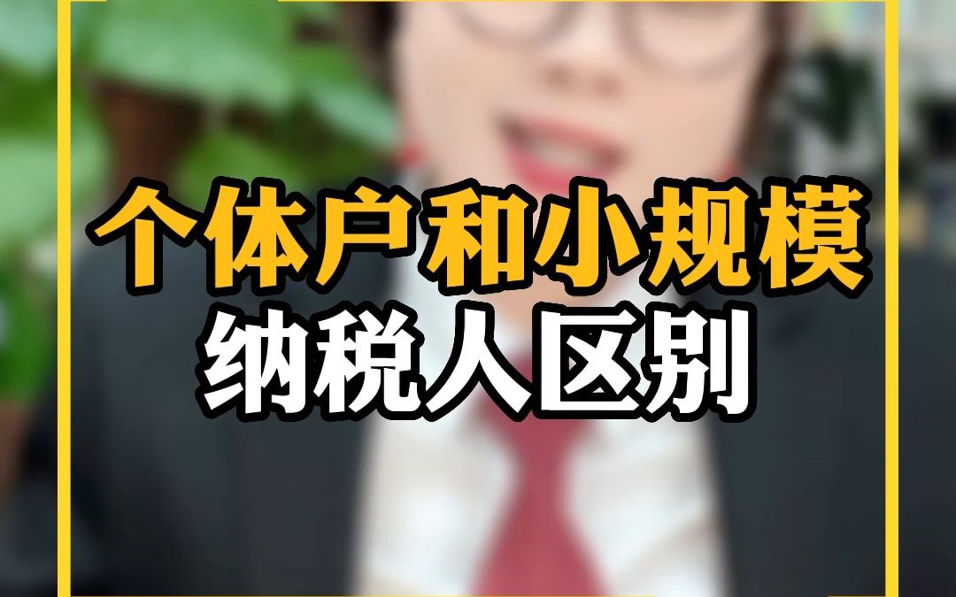 个体户和小规模纳税人区别