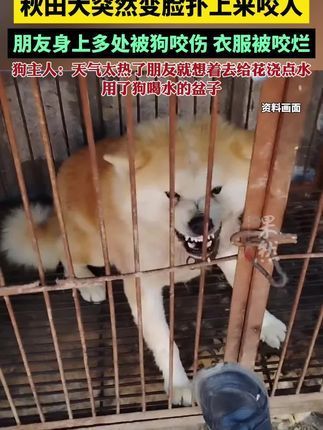 小伙用狗盆浇花被狗咬伤多处(纵览新闻)