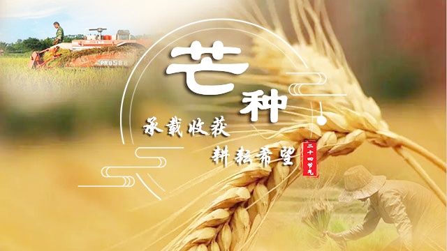 二十四节气“芒种”是啥？气候又会如何,古人的经验真的准吗？