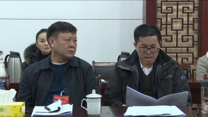 县委书记李振峰参加部分人大代表团分组讨论