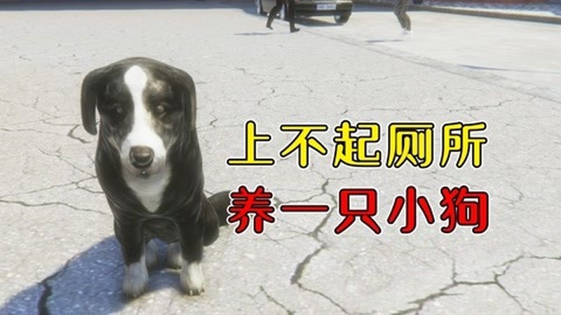 乞丐模拟器05:上不起厕所,只能养一条小狗了