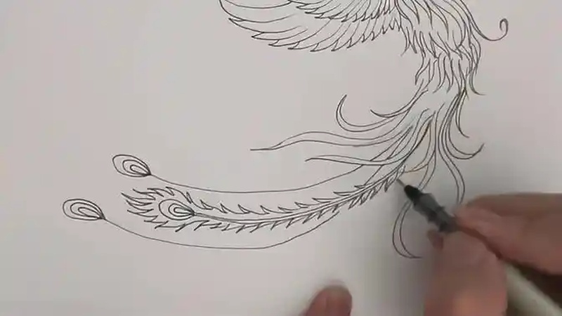精美绝伦的凤凰画法!