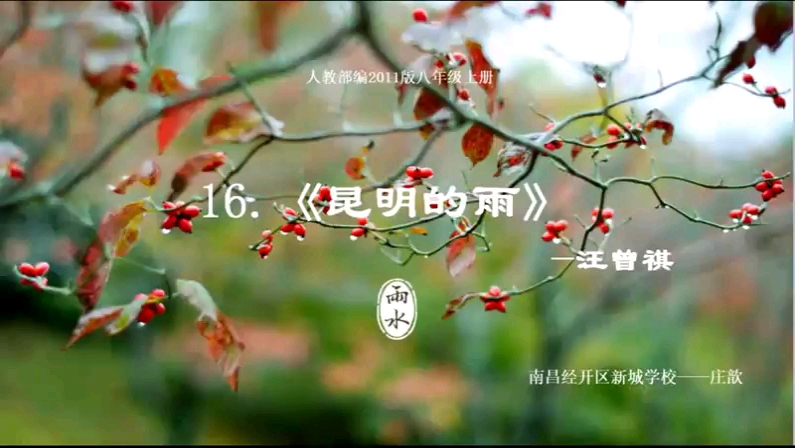 八年级上册:《昆明的雨》(含课件+教案)名师优质公开课 教学实录 (...