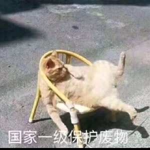 防弹少年团2017 
