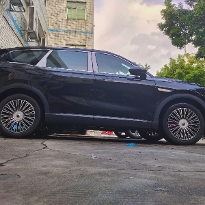 开着瑞虎8L去钓鱼 