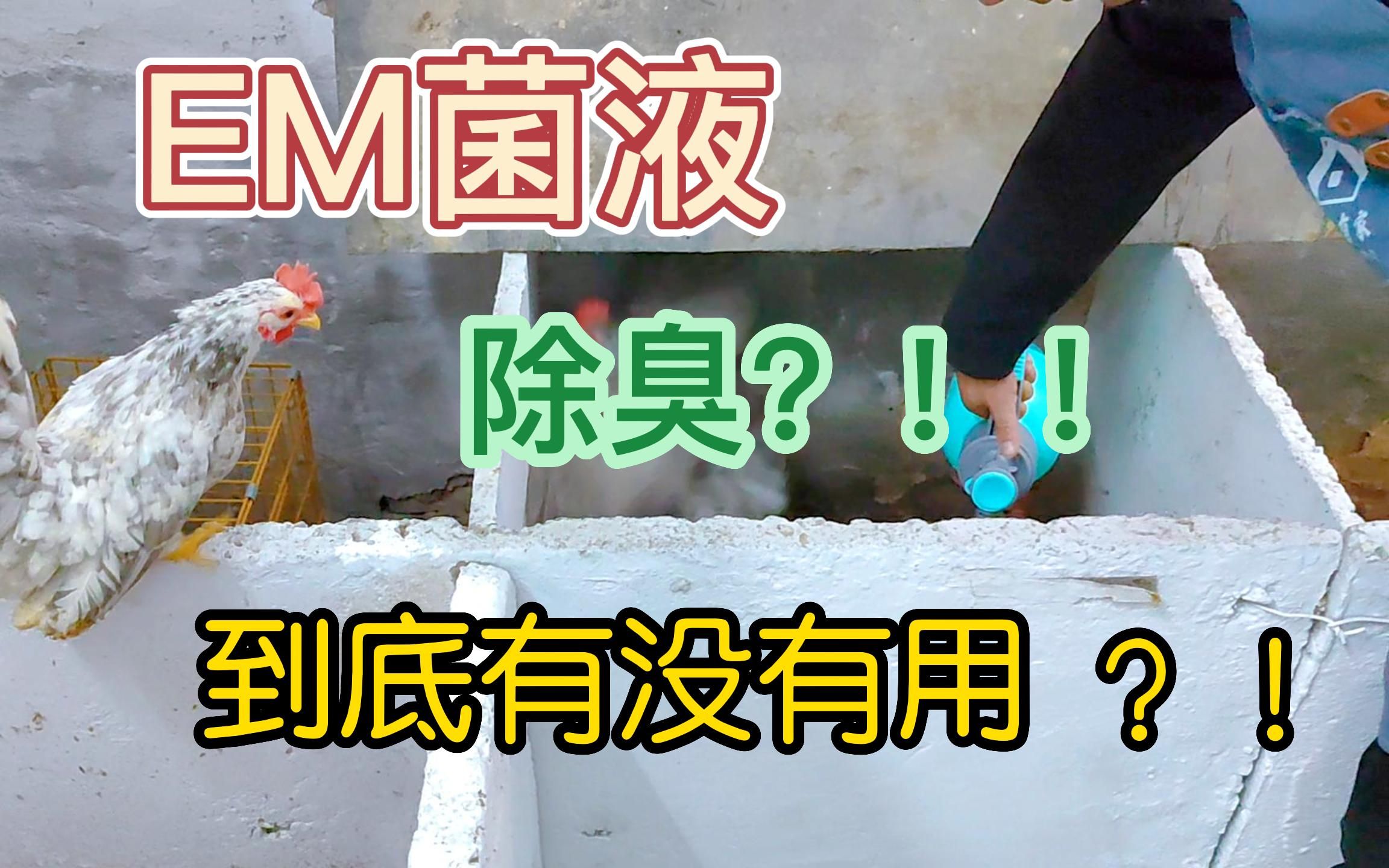 EM菌液3大功效,到底有没有用?先试试除臭效果