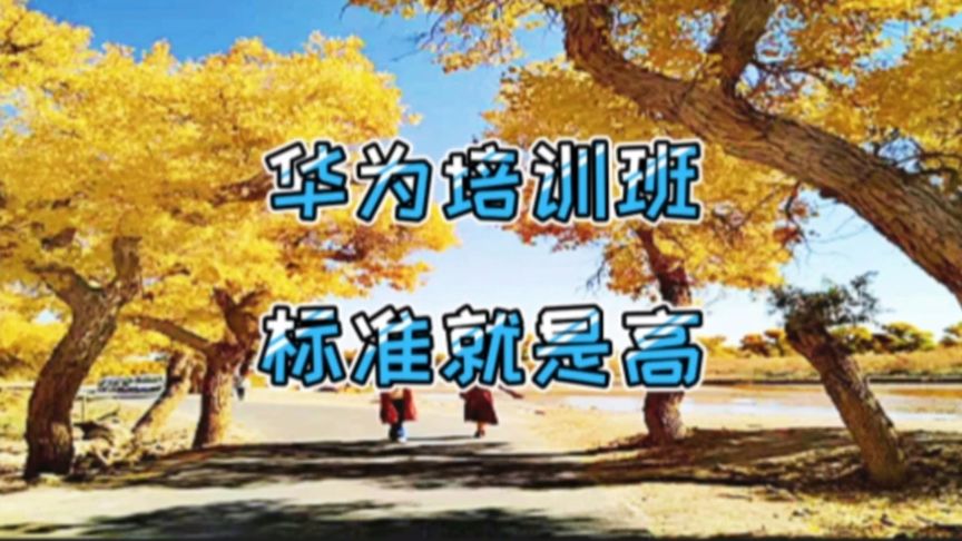 华为手机拍摄培训,没想到会议标准还挺高,意外又惊喜