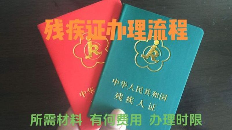 残疾人证办理全流程 残疾人 残疾人证 残疾评定