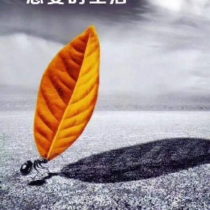 老柳聊语文 