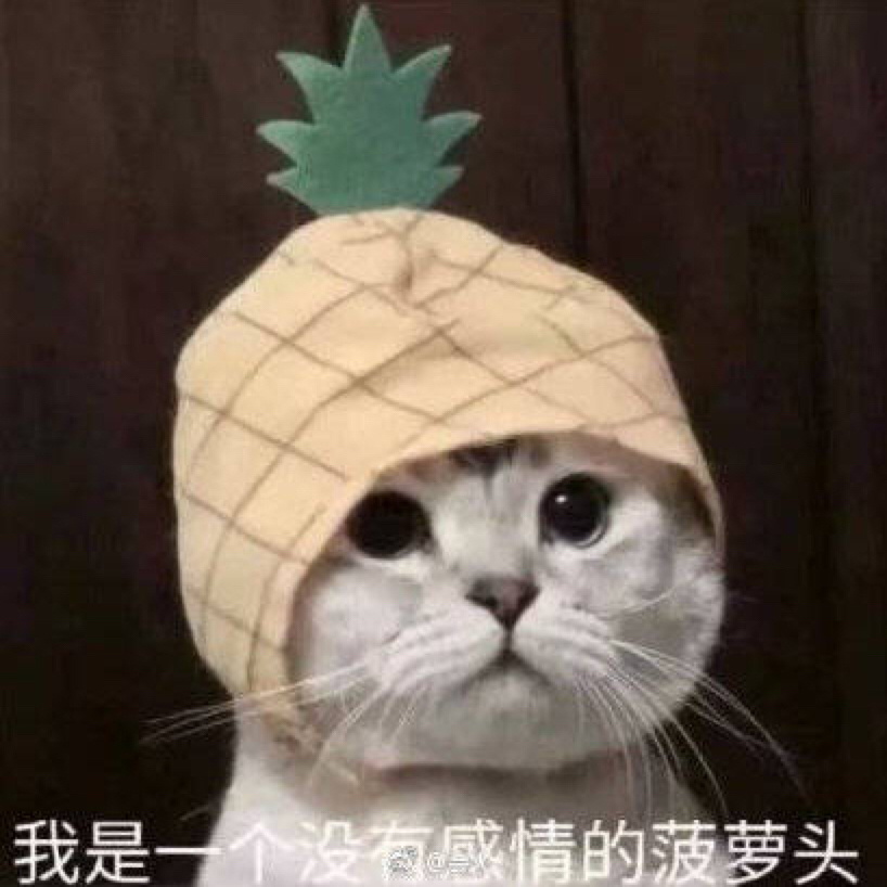 娜纳娜纳 