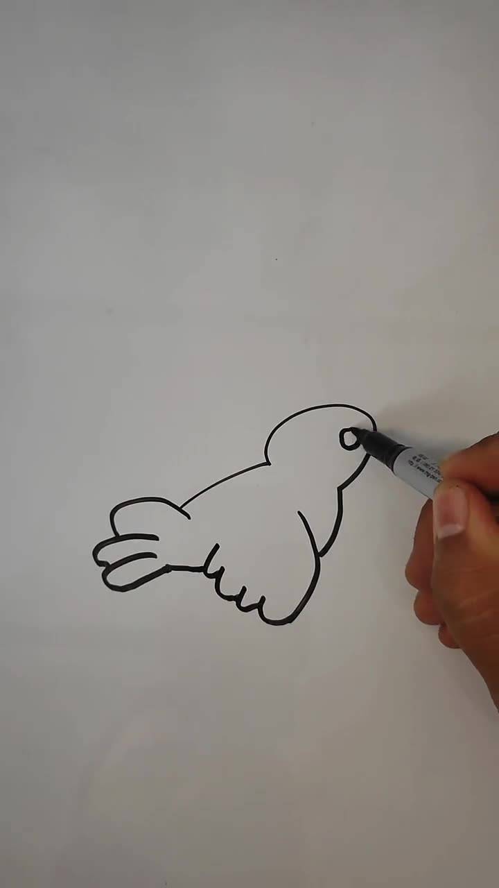 简笔画教程--飞翔的小鸟